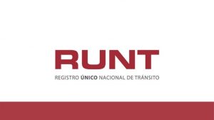 🥇¿Qué es el RUNT? - 10 Datos Que Debes Conocer