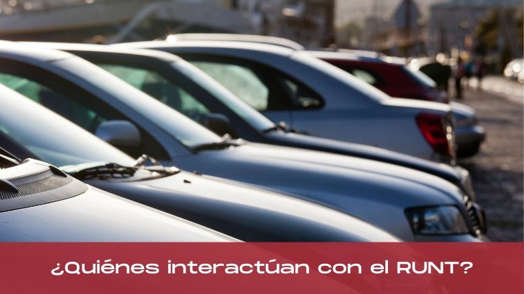 🥇¿Qué es el RUNT? - 10 Datos Que Debes Conocer